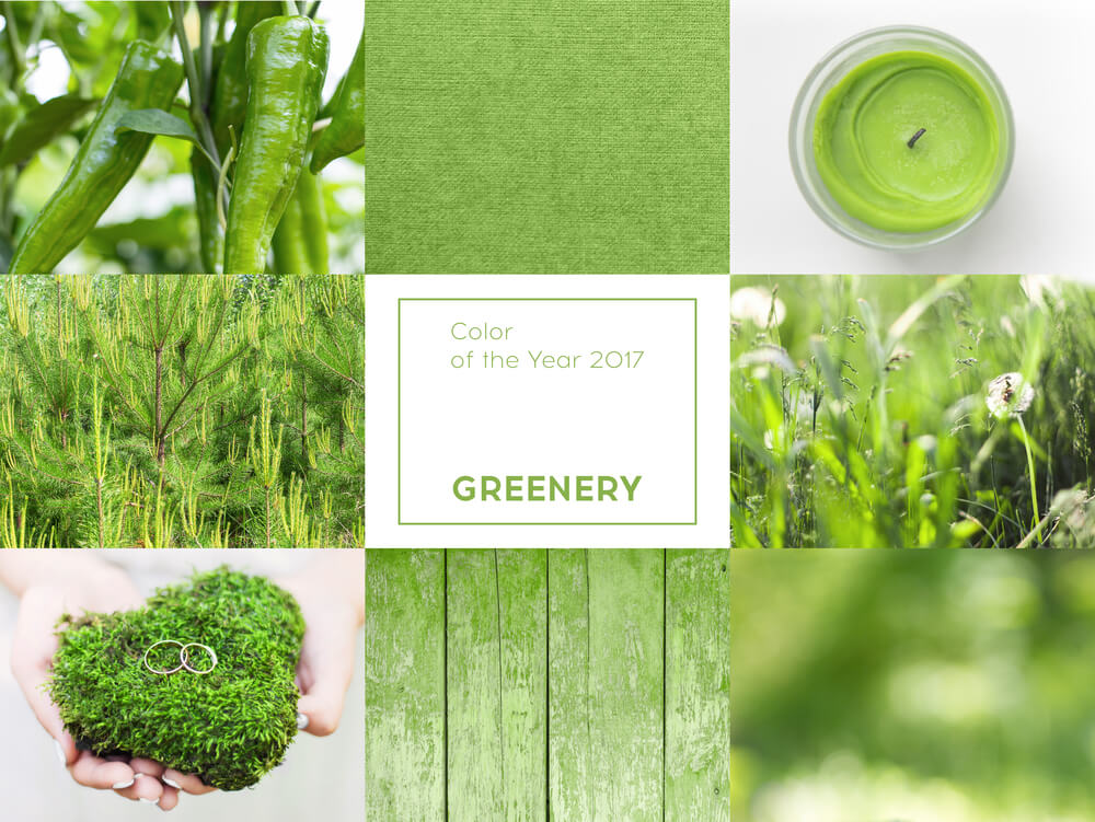 Greenery: una tendencia que continúa - Decor Tips